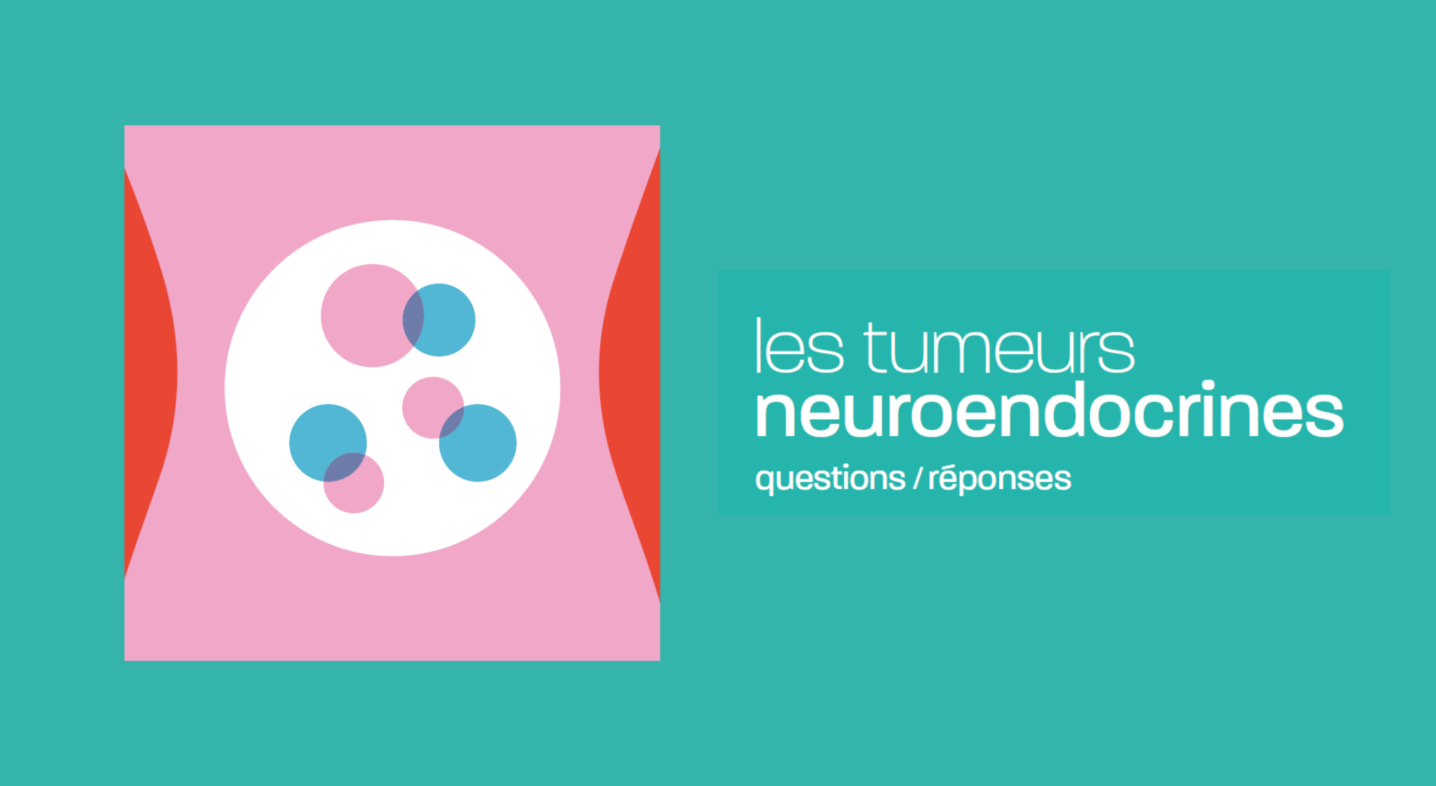 Réédition du guide sur les tumeurs neuroendocrines - Fondation A.R.CA.D